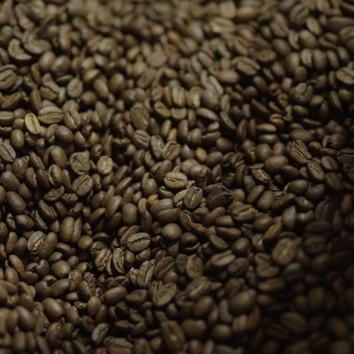 Beans – Coffex Coffee Roasters